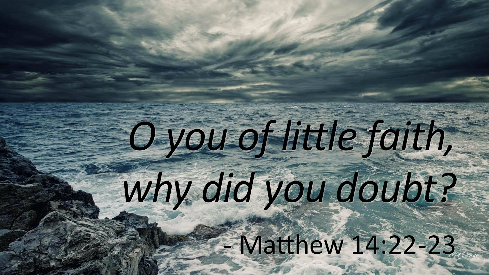 God’s Promise of Love: Your Weekly Catholic Reflection | CMMB Blog