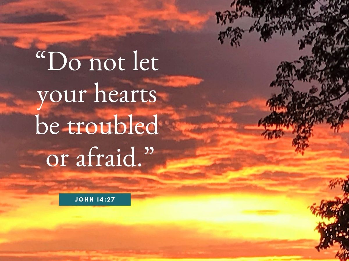 Preparing For His Absence – Your Catholic Weekly Reflection from CMMB ...